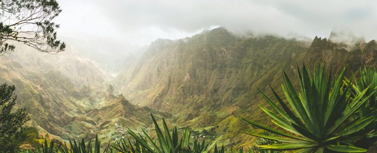 Co to jest Sizal. Właściwości i zastosowanie sizalu. Dogged.pl